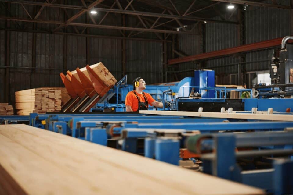 Medienos produktų gamyba ir didmena | LTF group