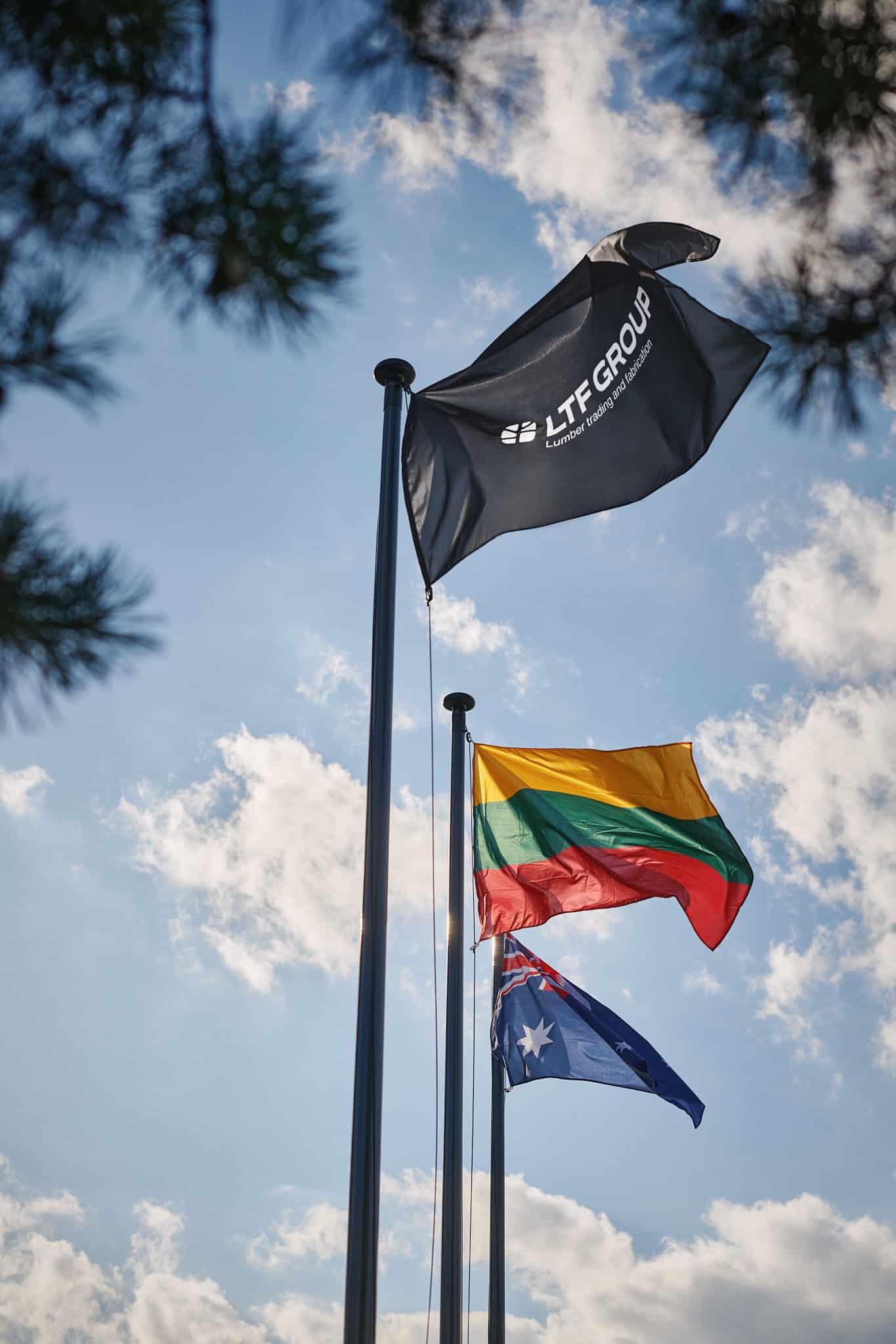 Apie mus – LTF Group